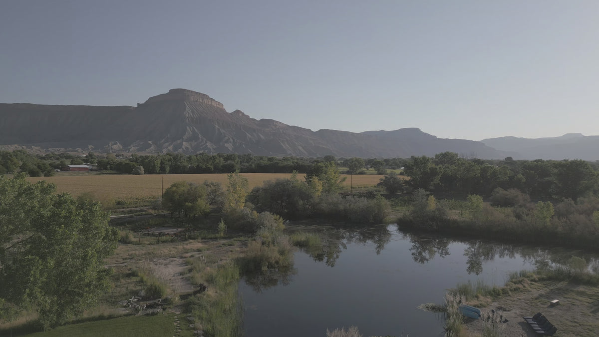 Plaas Huis - Whole House: For complete privacy, book the entire house ...